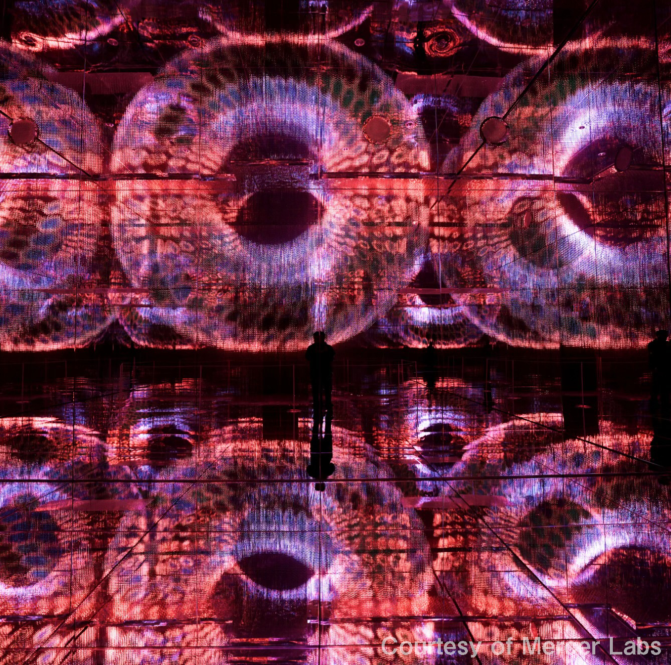 「Mercer Labs」 アートとテクノロジーの融合で、最新の「没入」体験を！ - ニューヨークビズ！